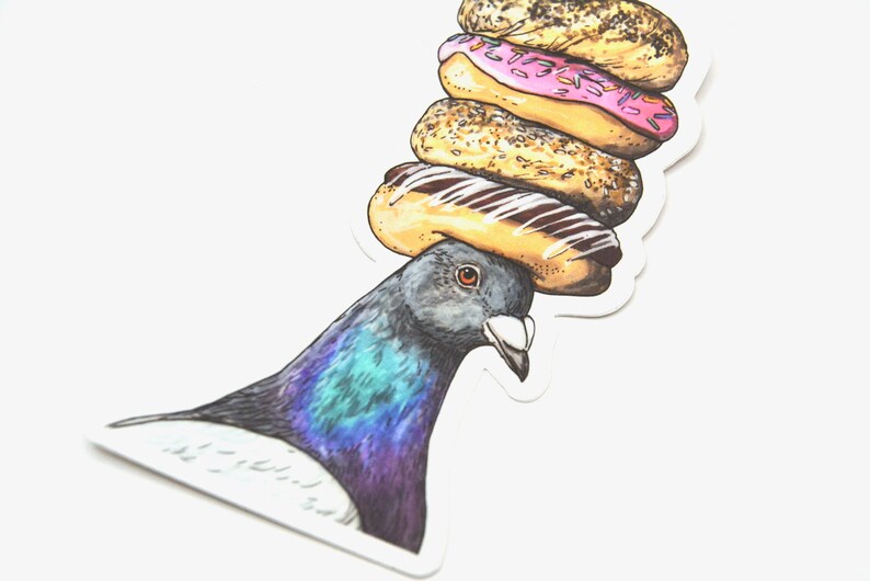 Pigeon - Donuts - Snack Attack - Vinyl Decal - Sticker - Etsy