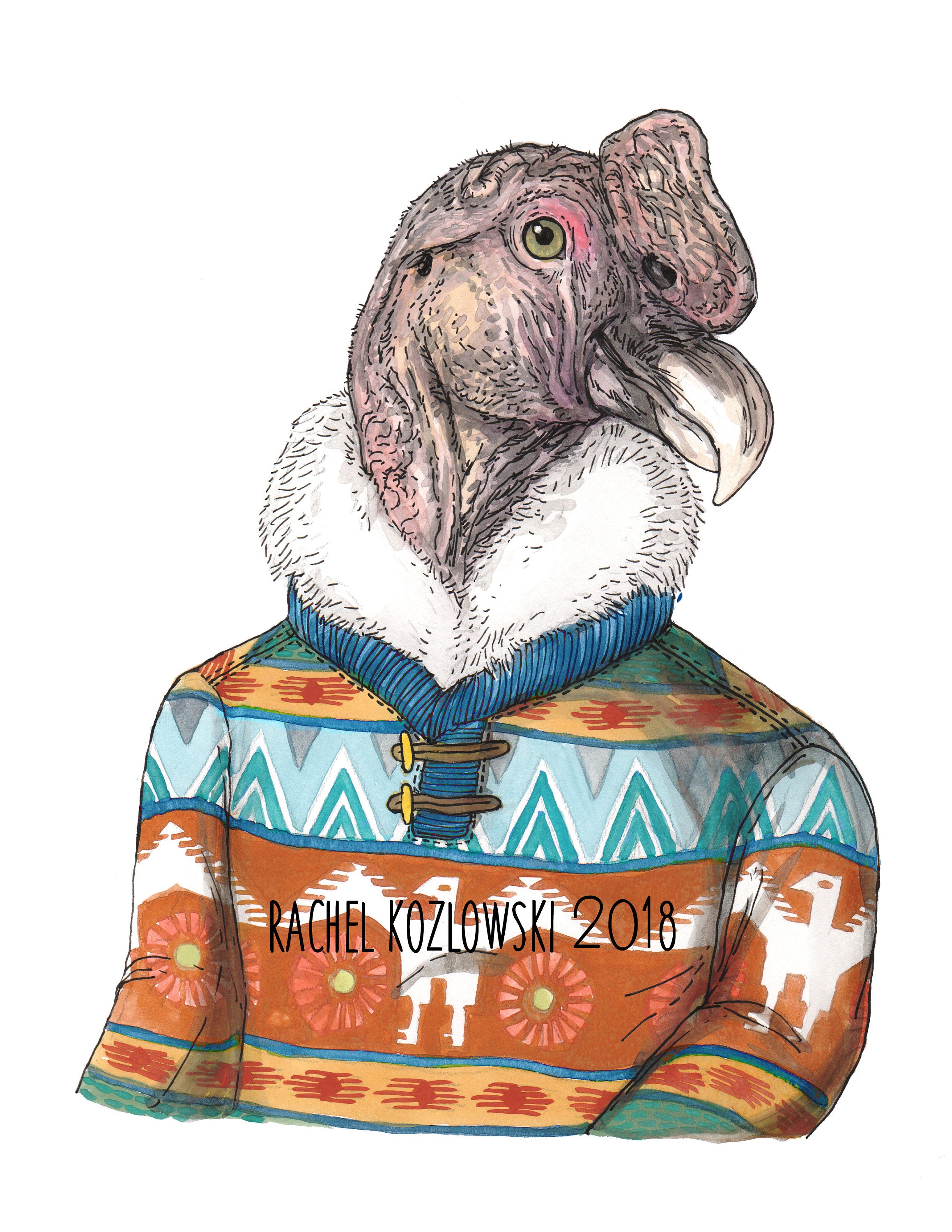 Andean Condor Drawing