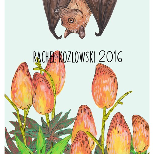 Fruit Bat Mangoes Archival Print - Etsy