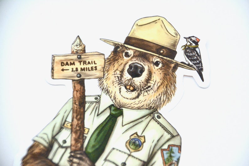 Beaver - Ranger Chuck - Vinyl Decal - Sticker - Etsy