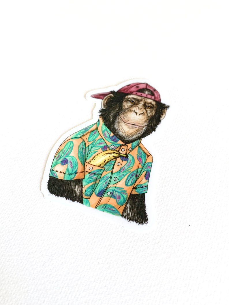 Chimp Chimpanzee Vinyl Decal Sticker | Etsy