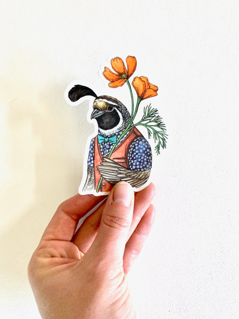 California Quail Poppy Vinyl Decal Sticker - Etsy