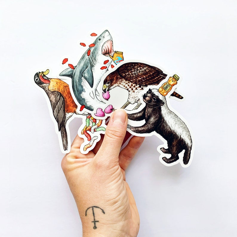 Shark Swedish Fish Snack Attack Vinyl Decal Sticker | Etsy