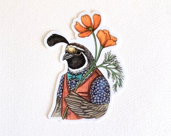 California Quail | Etsy