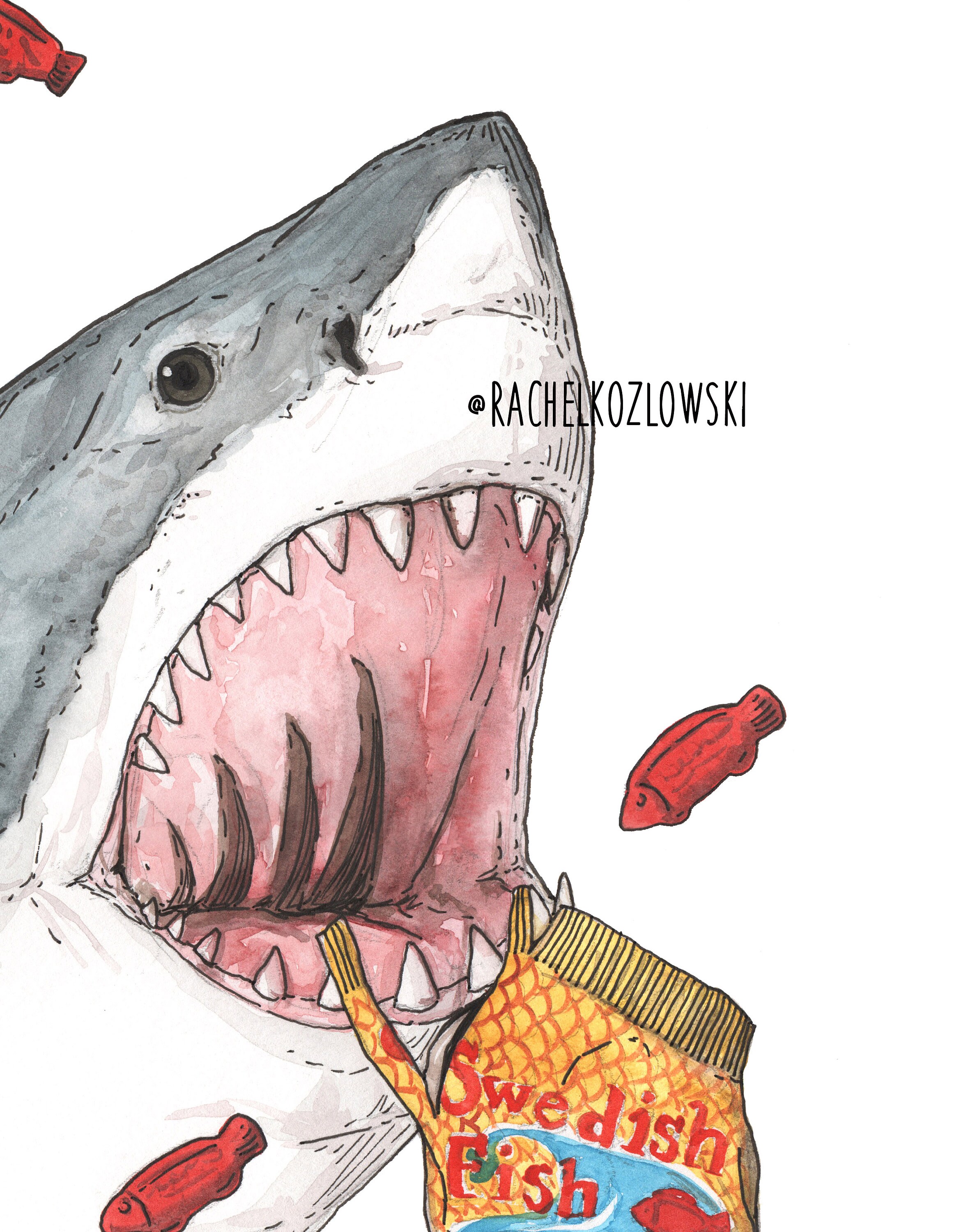 Shark Eating Fish Drawing