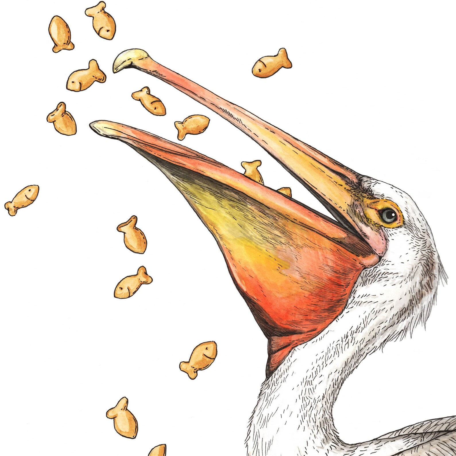 Pelican Goldfish Snack Attack Archival Print - Etsy