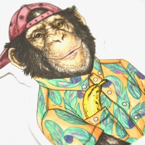 Chimp - Chimpanzee - Vinyl Decal - Sticker - Etsy