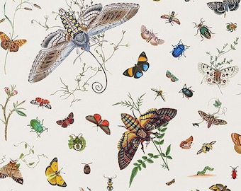 Insects Print, Insect Poster, Moth Print, Moth Poster, Butterfly ...