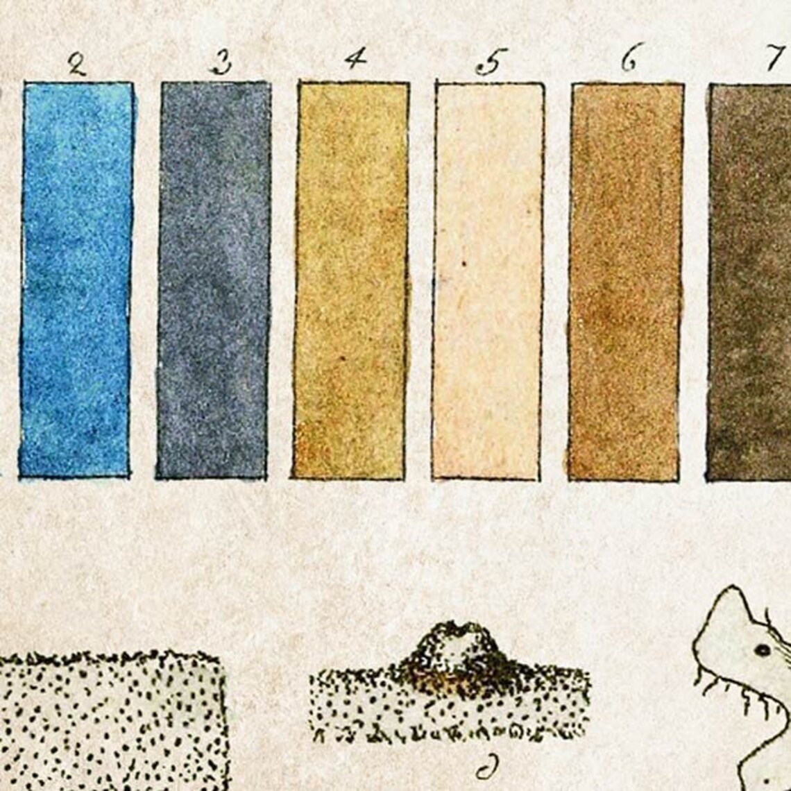 Lichen Chart, Vintage Botanical Printables, Moss Illustration ...