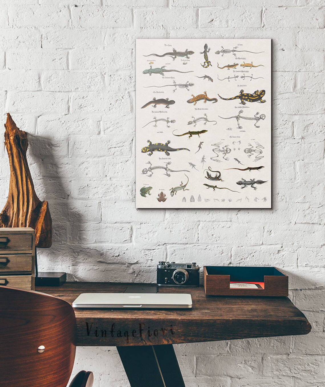 Lizard Chart Instant Download Reptiles Print Zoology Art - Etsy