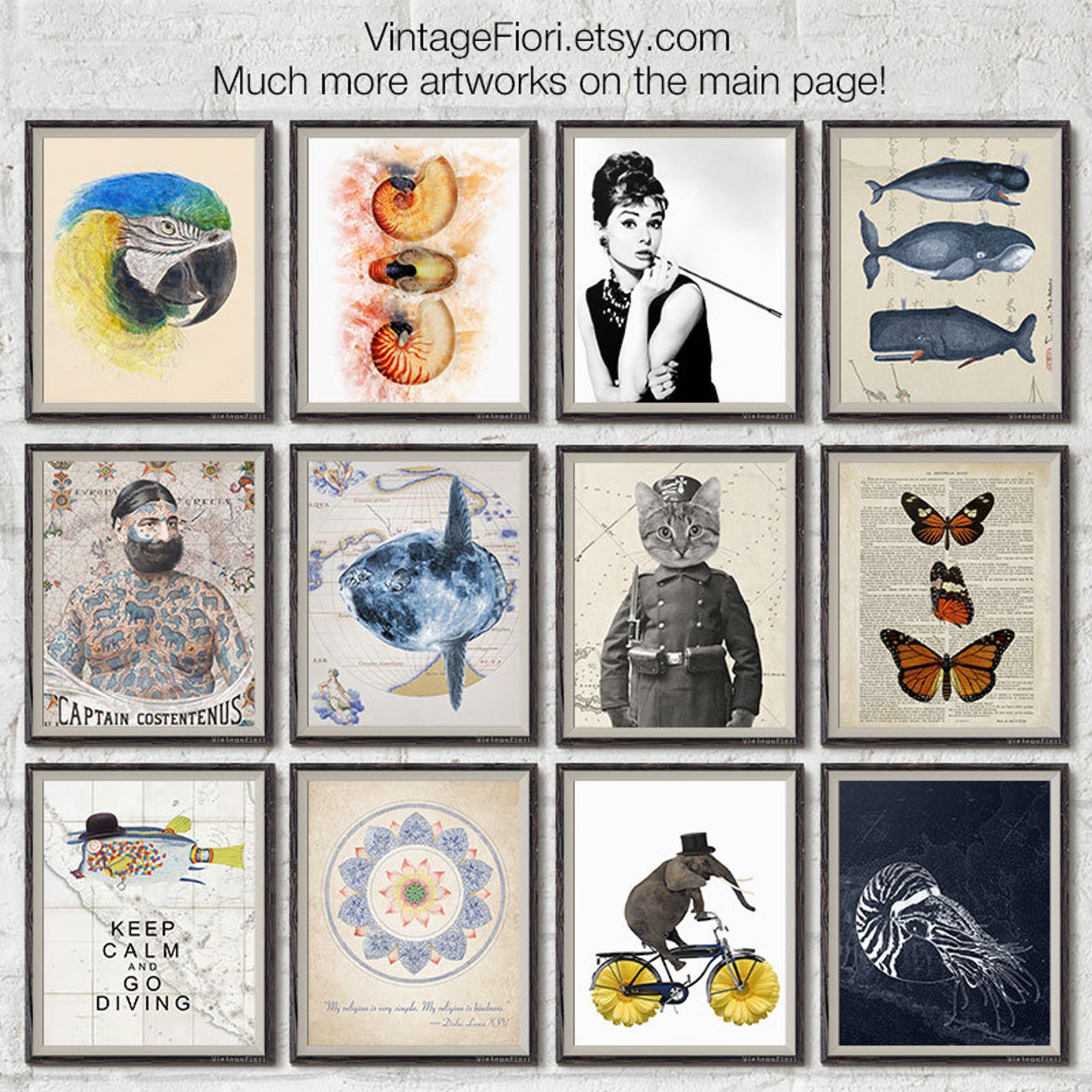 Ornithology Printable Art, Bird Anatomy Chart, Gift for Him - Etsy