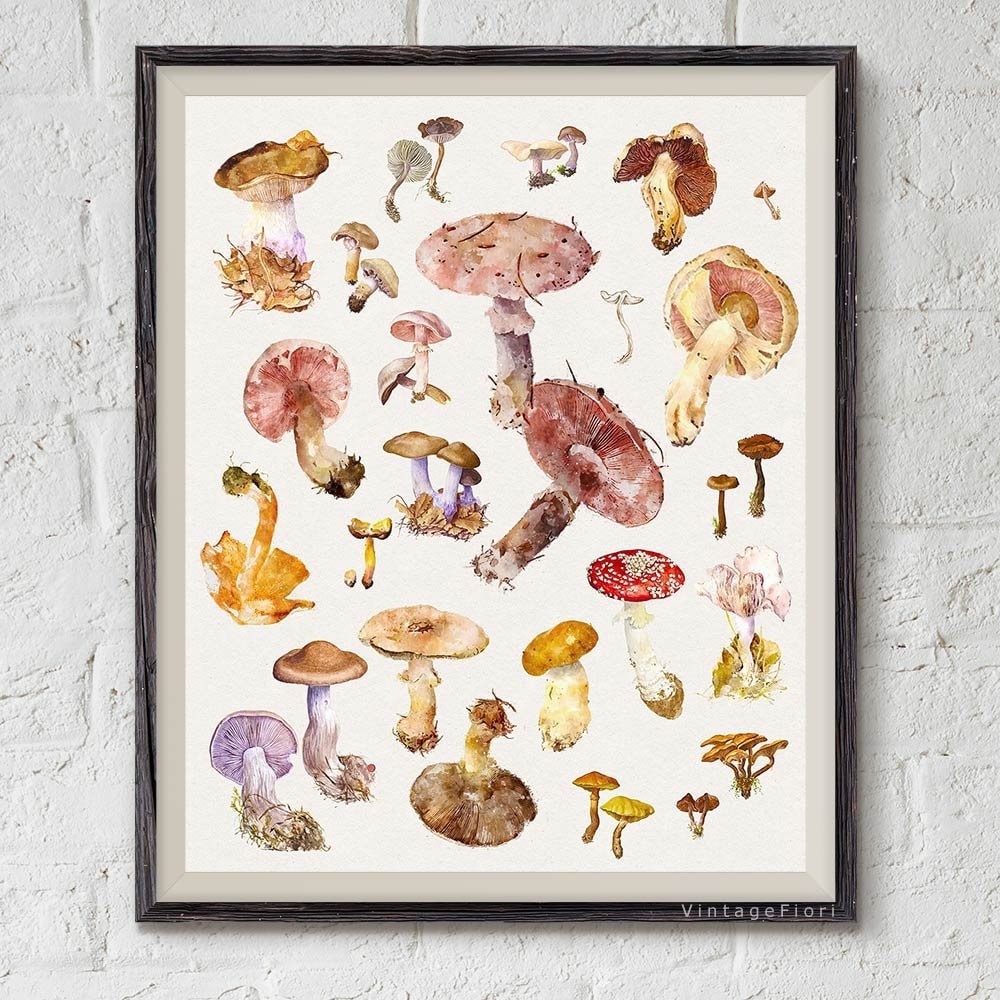 Mushroom Printable Art Mushroom Poster Botanical Chart - Etsy