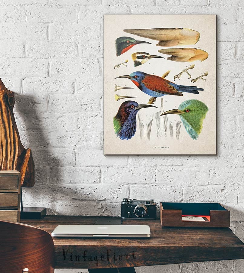 Bird Chart, Ornithology Printable Art, Wildlife Poster, Nature ...