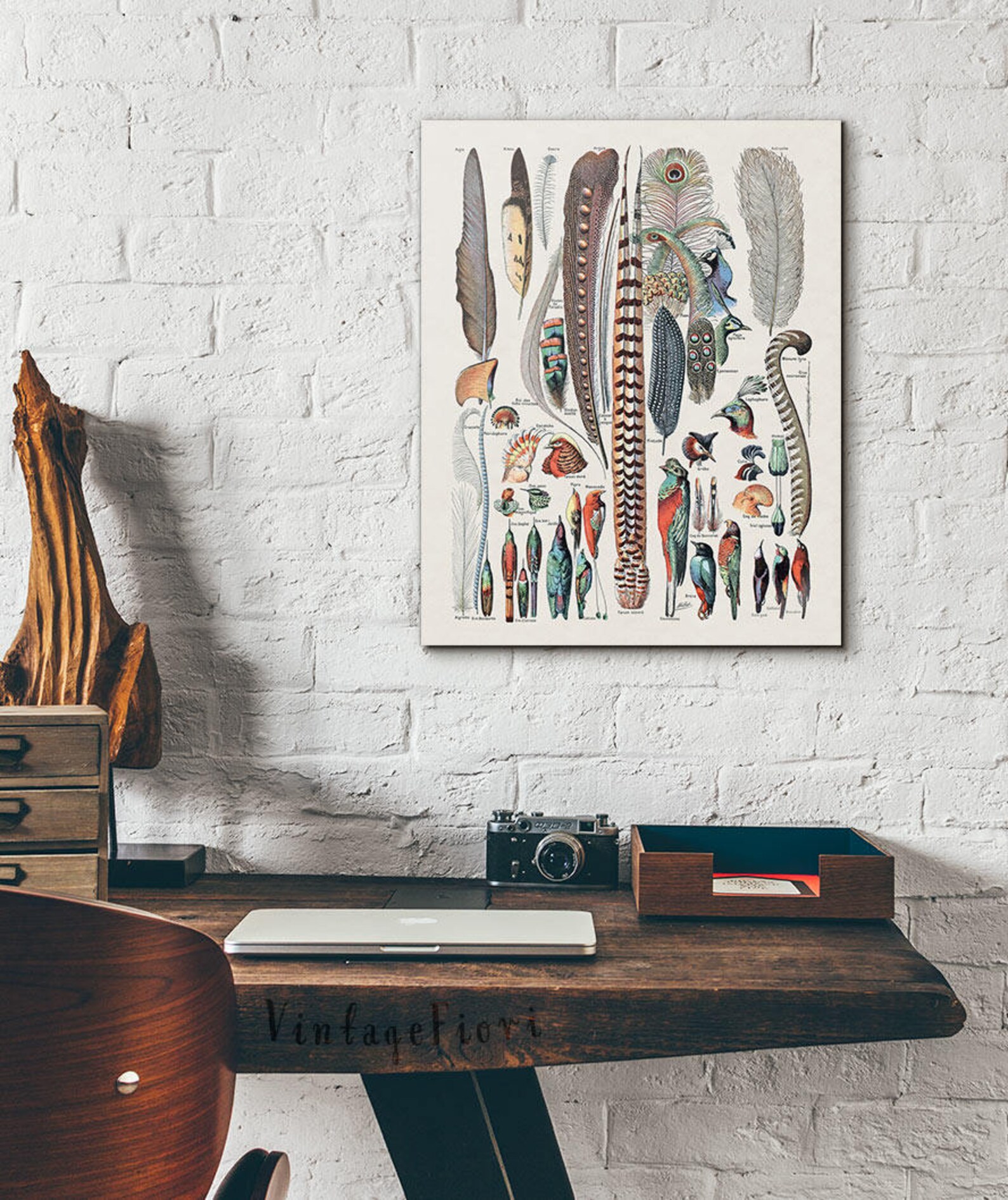 Feathers Instant Download Print, Bird Chart, Animal Poster, Printable ...