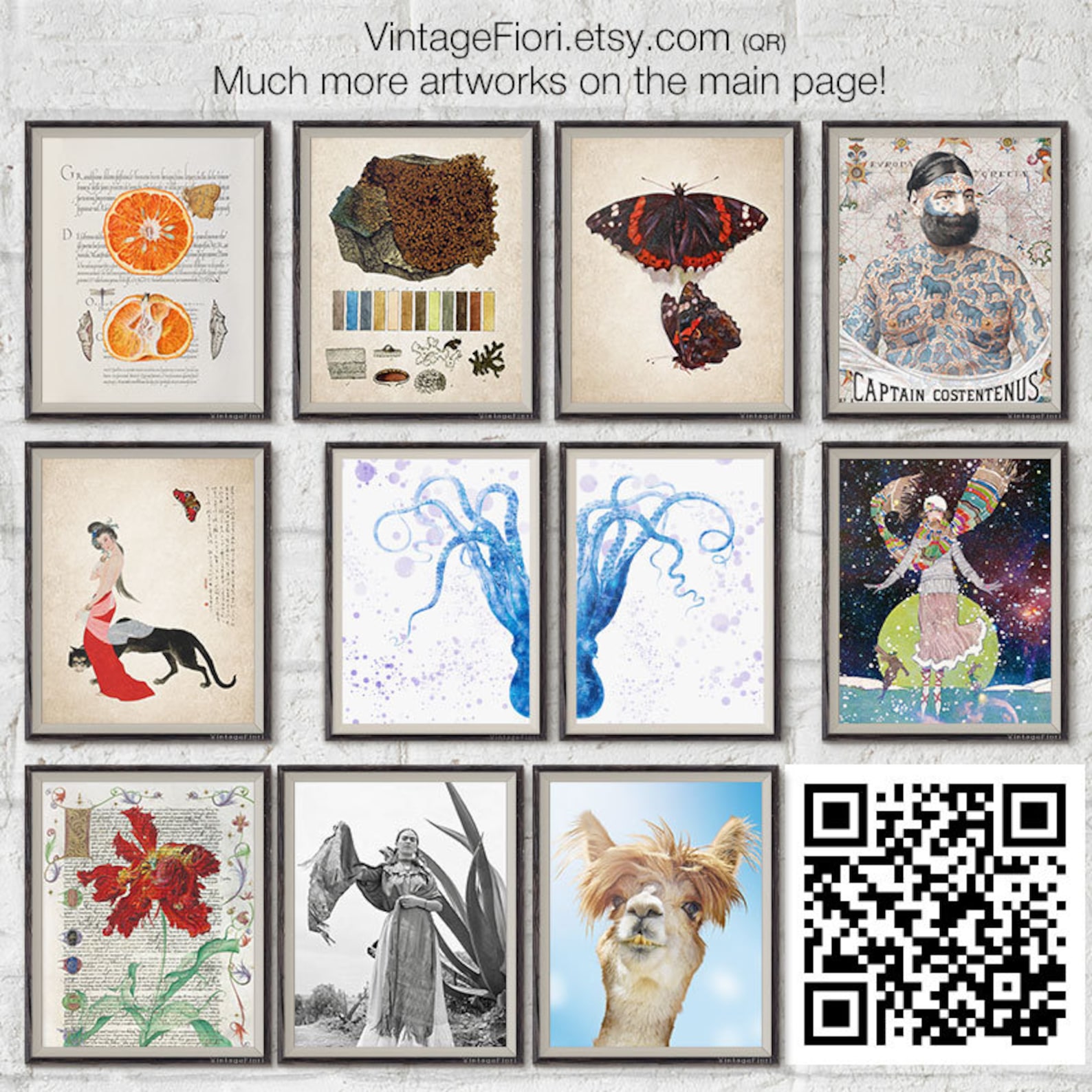 Ornithology Printable Art Bird Anatomy Chart Gift for Him - Etsy