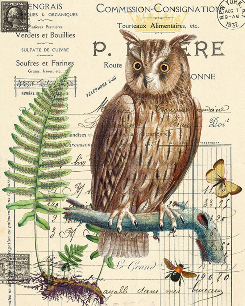 Owl Printable Wall Art, Vintage Bird Illustration, Decoupage Artwork - Etsy