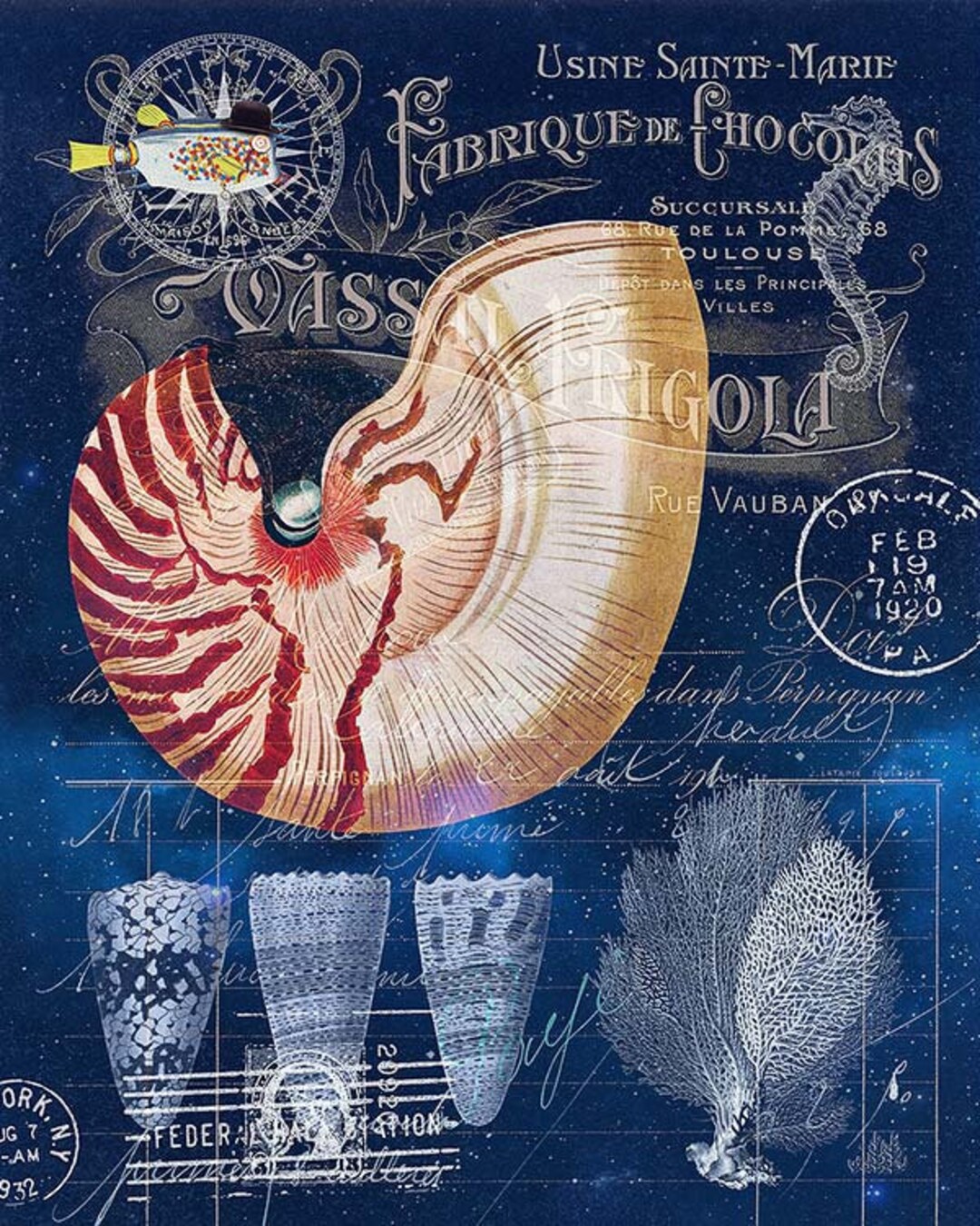 Nautilus Mollusk Wall Art - Printable Vintage Scientific Illustration ...