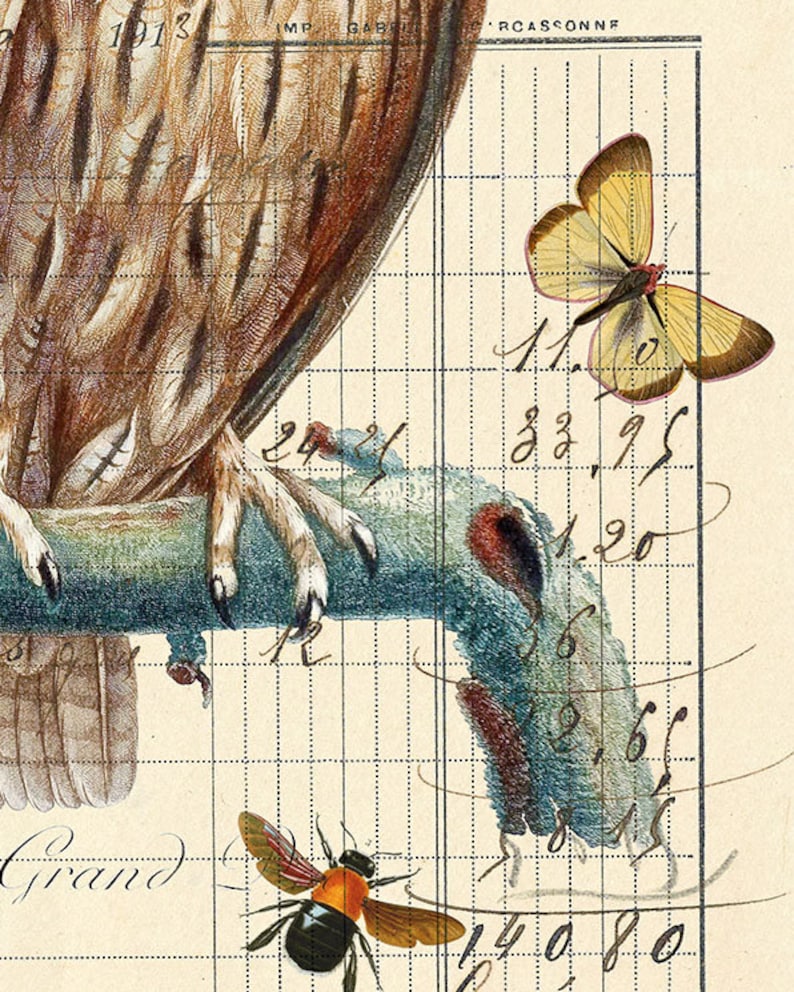 Owl Printable Wall Art, Vintage Bird Illustration, Decoupage Artwork - Etsy