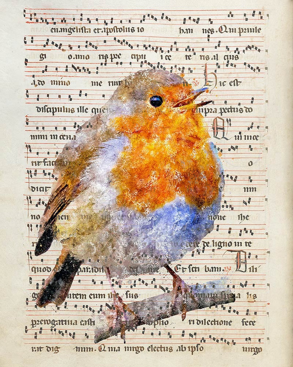 Robin Printable Art, Bird Decor, Instant Download Nursery Wall Art - Etsy