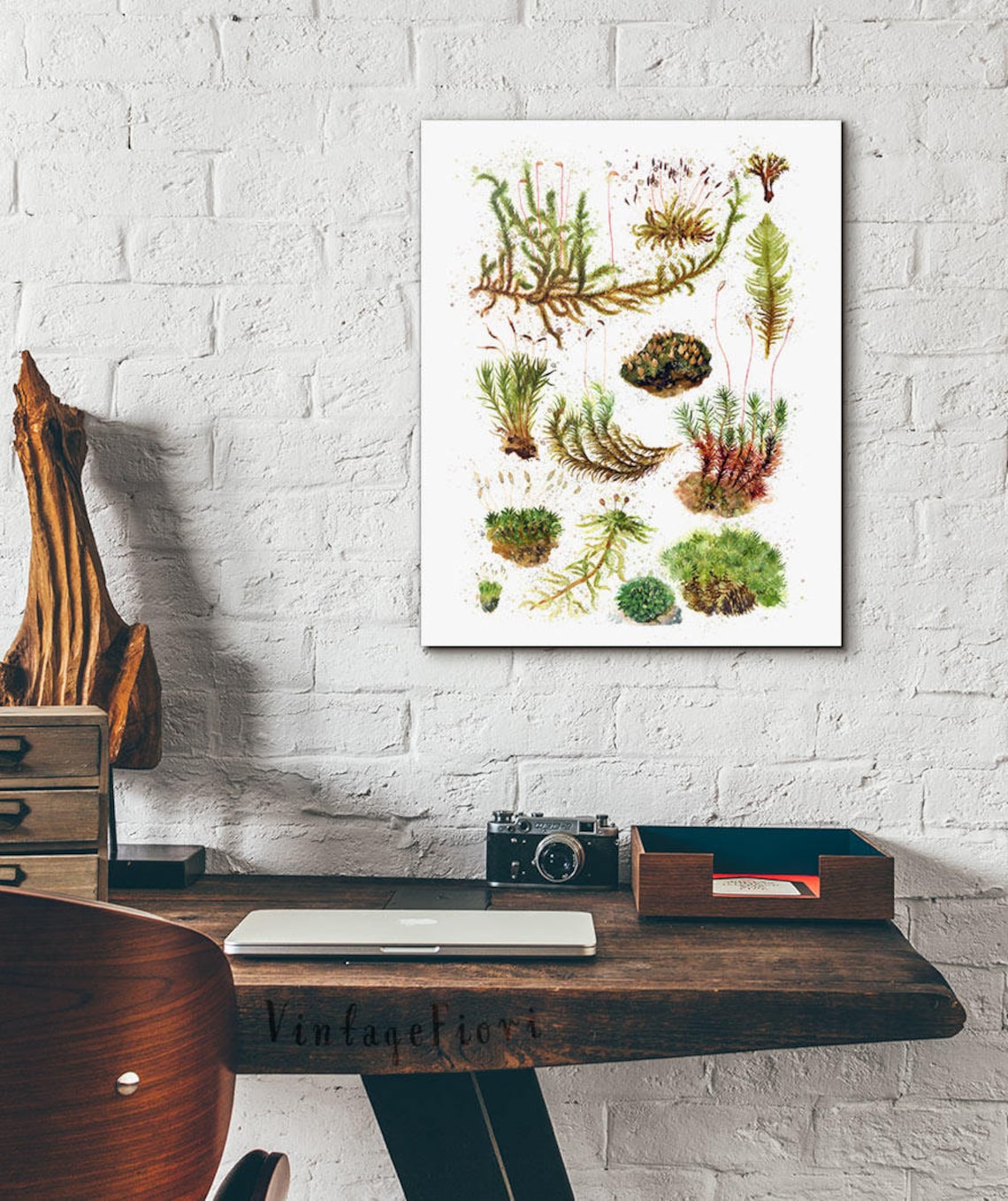 Moss Instant Download Moss Print Printable Botanical Art - Etsy