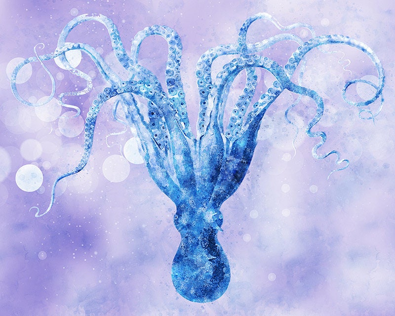 Blue Octopus Art Instant Download Octopus Print Bathroom - Etsy