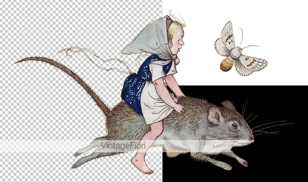 Girl Riding Mouse: Vintage Fairy Tale Illustration (PNG, JPG) - Etsy
