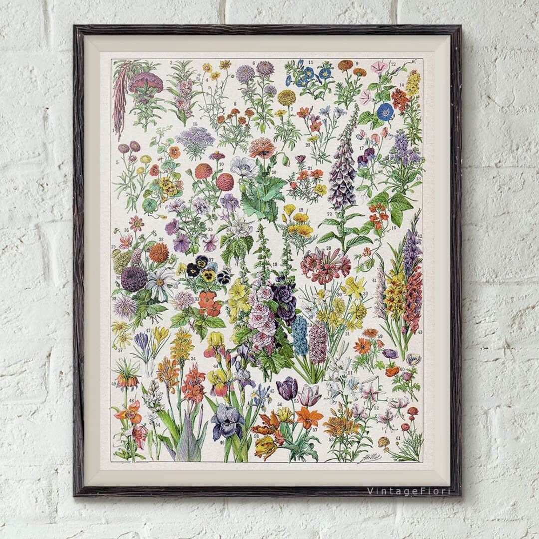 Botanical Printable Wall Art Kitchen Decor Flower Chart - Etsy