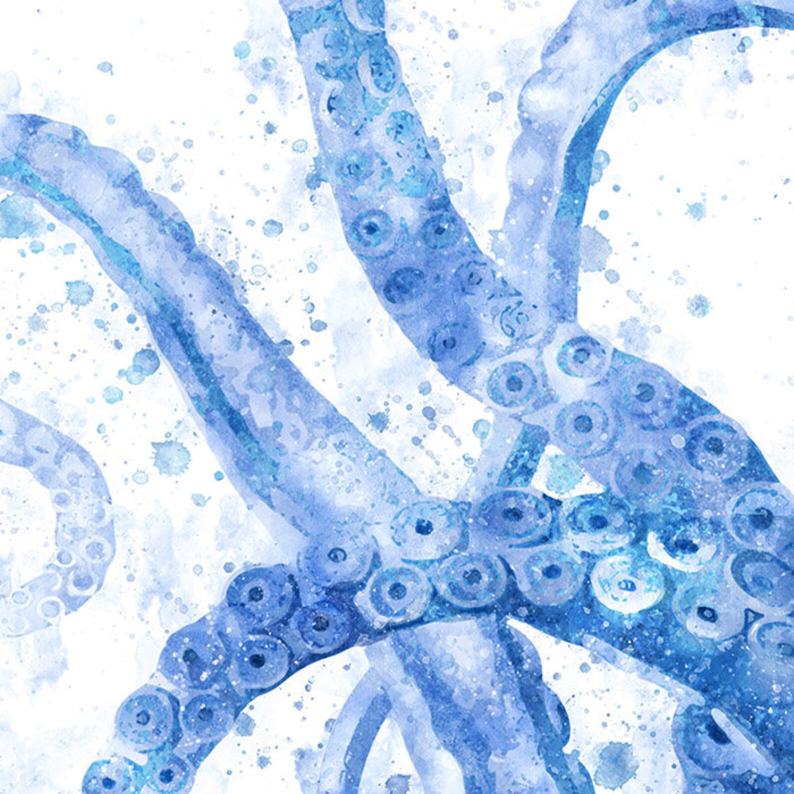 Blue Octopus Art Instant Download Octopus Print Bathroom - Etsy