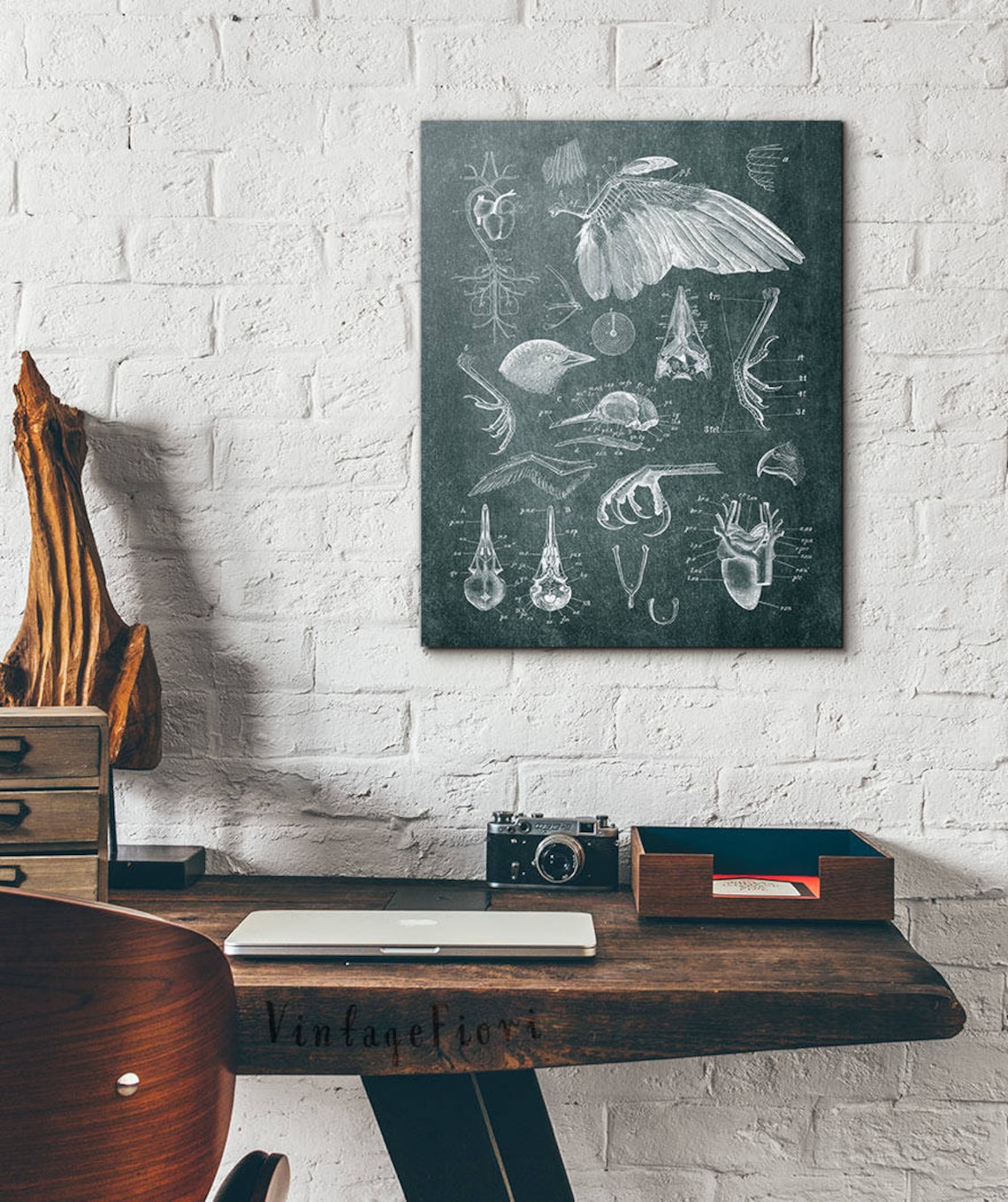 Ornithology Printable Art Bird Anatomy Chart Gift for Him | Etsy