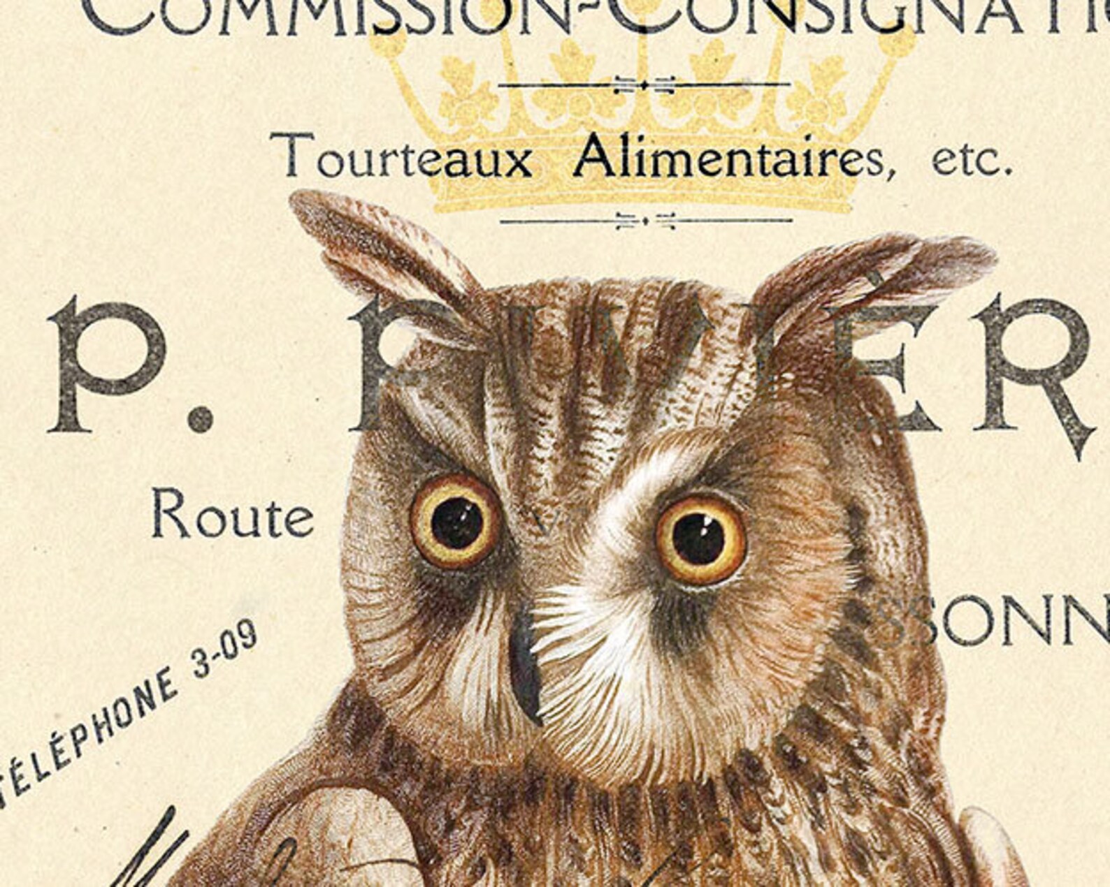 Owl Printable Wall Art, Vintage Bird Illustration, Decoupage Artwork - Etsy
