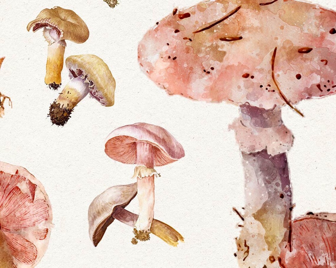 Mushroom Printable Art, Mushroom Poster, Botanical Chart, Kitchen Wall ...