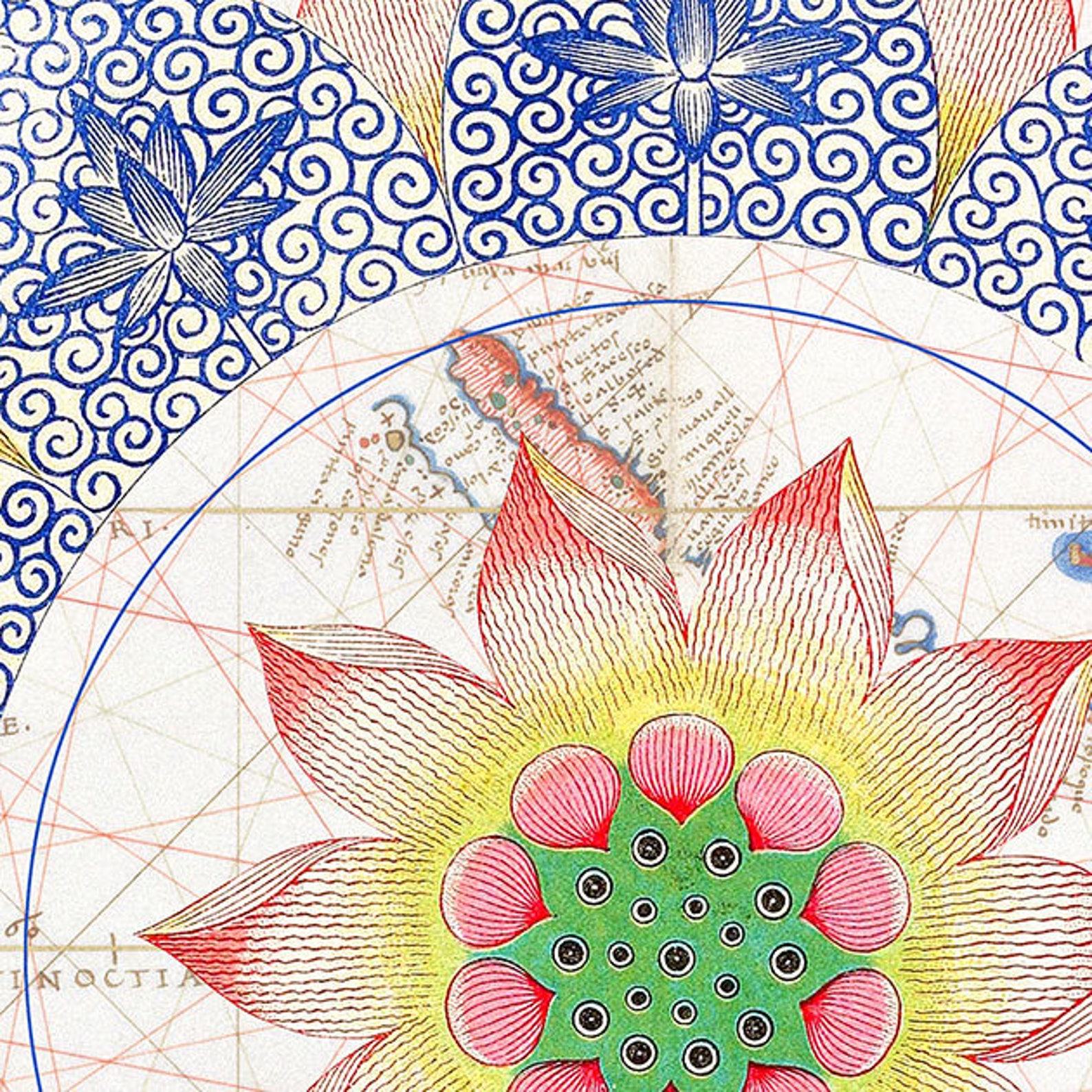 Lotus Illustration Mandala Printable Yoga Print Custom Wall - Etsy