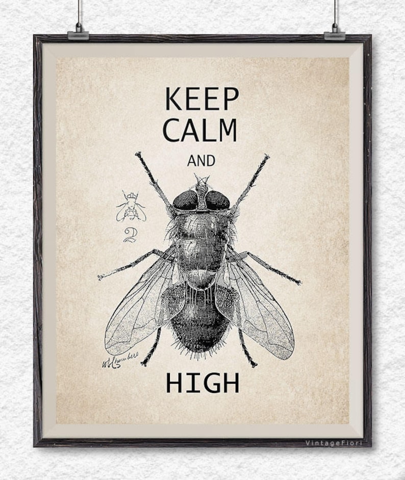 Instant Download Quote Print Keep Calm and Fly High - Etsy