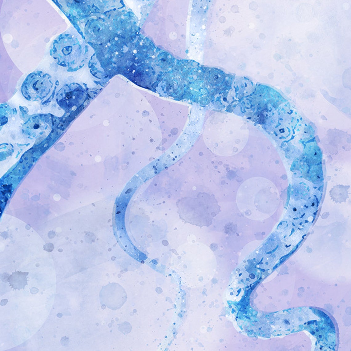 Blue Octopus Art Instant Download Octopus Print Bathroom | Etsy