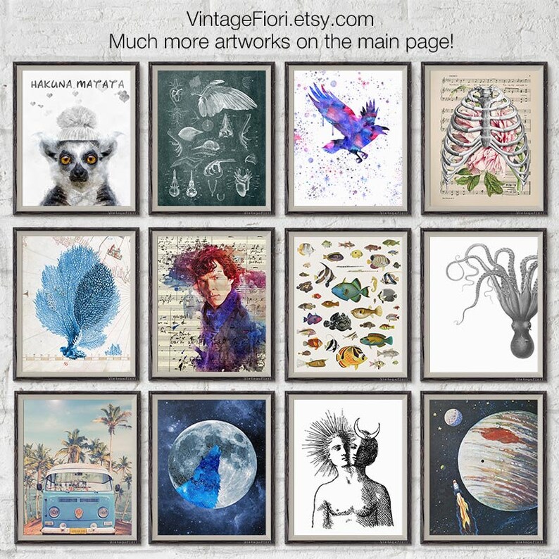 Ornithology Printable Art, Bird Anatomy Chart, Gift for Him - Etsy