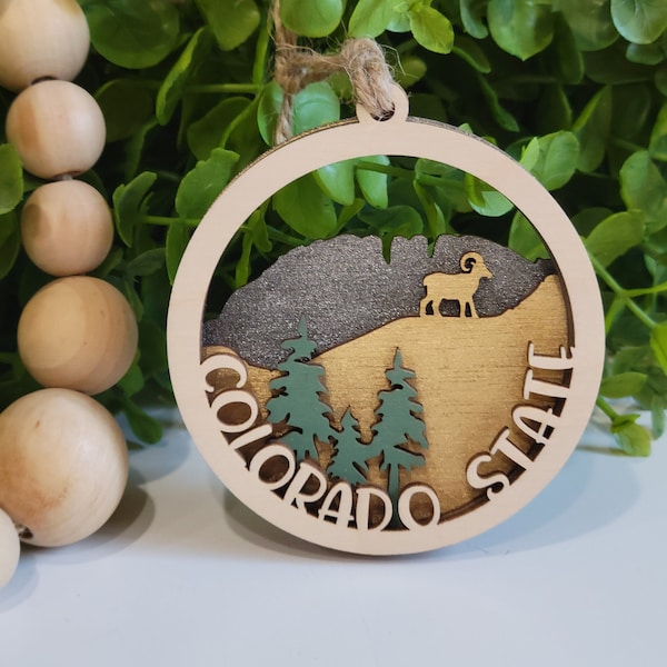 Colorado State University - Etsy