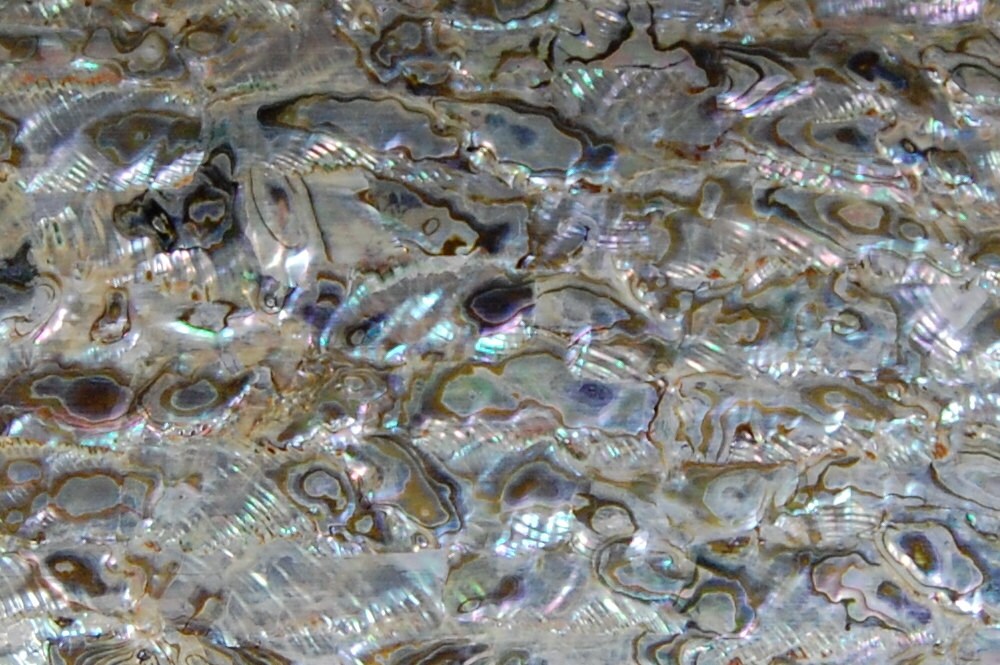 Green Abalone Shell Coated Adhesive Veneer Sheet 9.4 X - Etsy