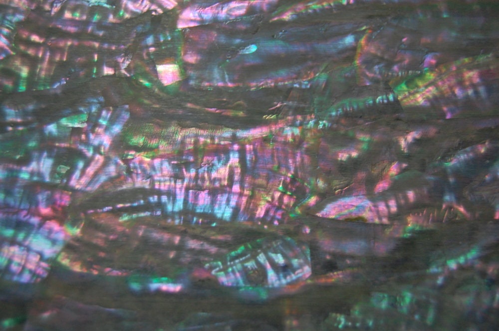 Prism Abalone Wide Shell Veneer Sheet 9.4 X 5.5 X - Etsy