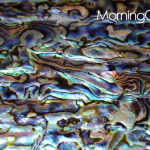 Blue Paua Shell Flexible Adhesive Veneer (9.4" X 5.5" X 0.006" Inches ...