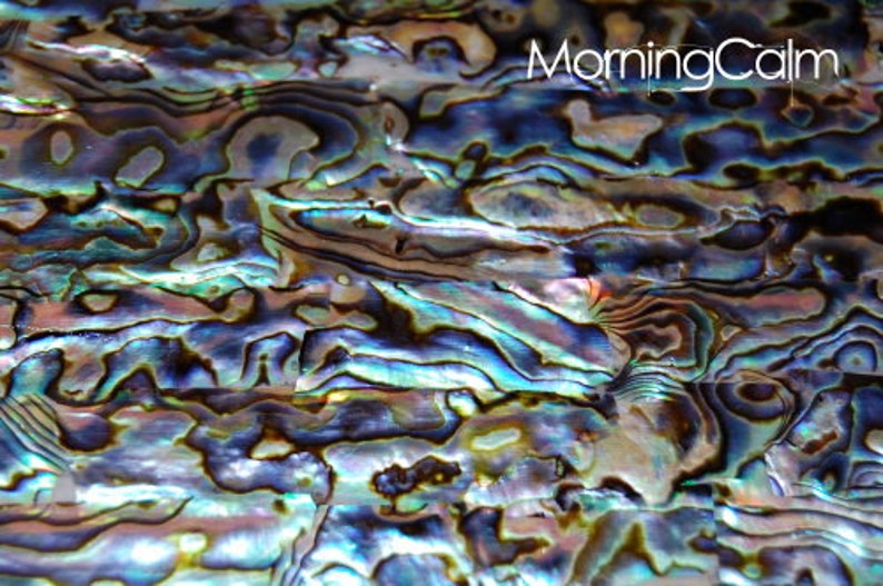 Blue Paua Shell Flexible Adhesive Veneer (9.4" X 5.5" X 0.006" Inches ...