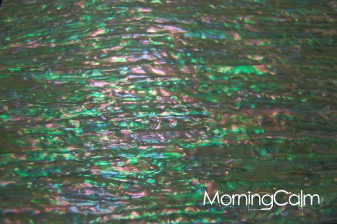 Prism Abalone Narrow Shell Veneer Sheet 9.4 X 5.5 - Etsy