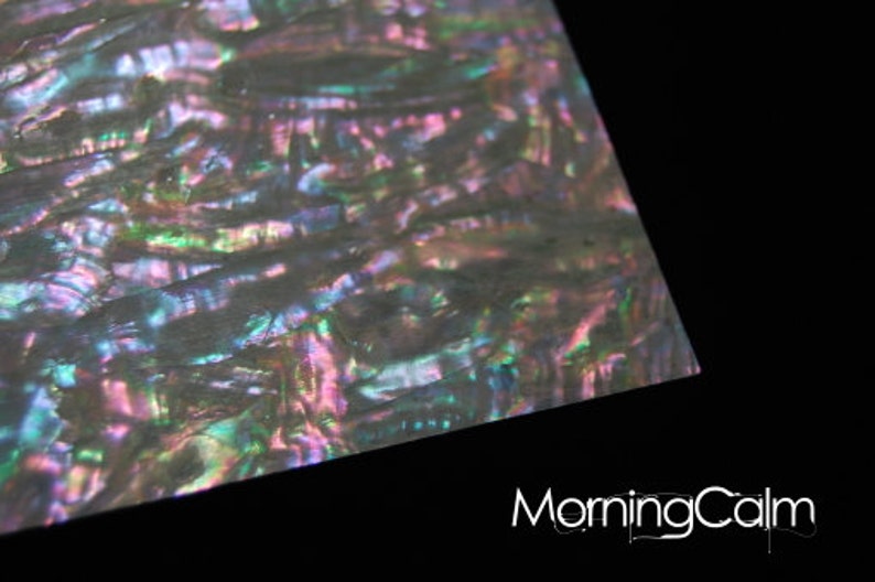Prism Abalone Wide Shell Adhesive Veneer Sheet 9.4 X 5.5 X 0.006 Inches - Etsy