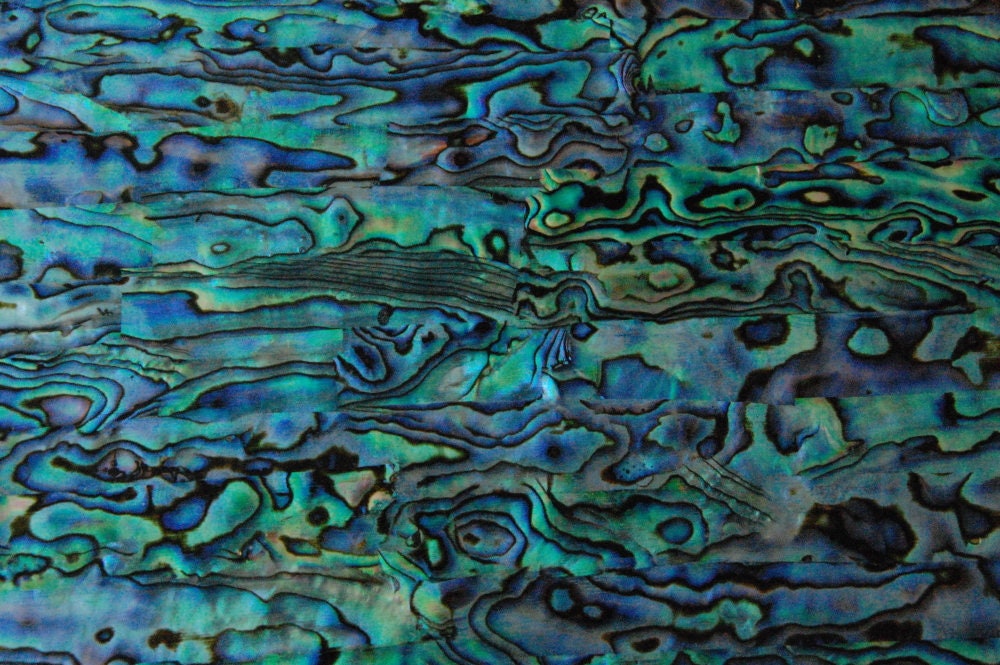 Blue Paua Enhanced Adhesive Veneer Sheet 9.4 X 5.5 X 0.006 Inches - Etsy