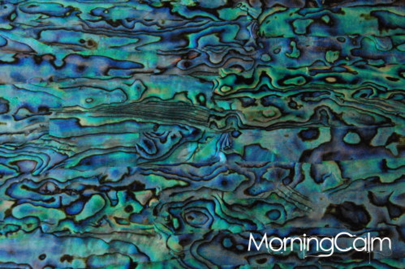 Blue Paua Flexible Enhanced Adhesive Veneer Sheet (9.4" X 5.5" X 0.006 ...