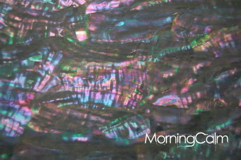 Prism Abalone Wide Shell Adhesive Veneer Sheet 9.4 X 5.5 X 0.006 Inches - Etsy