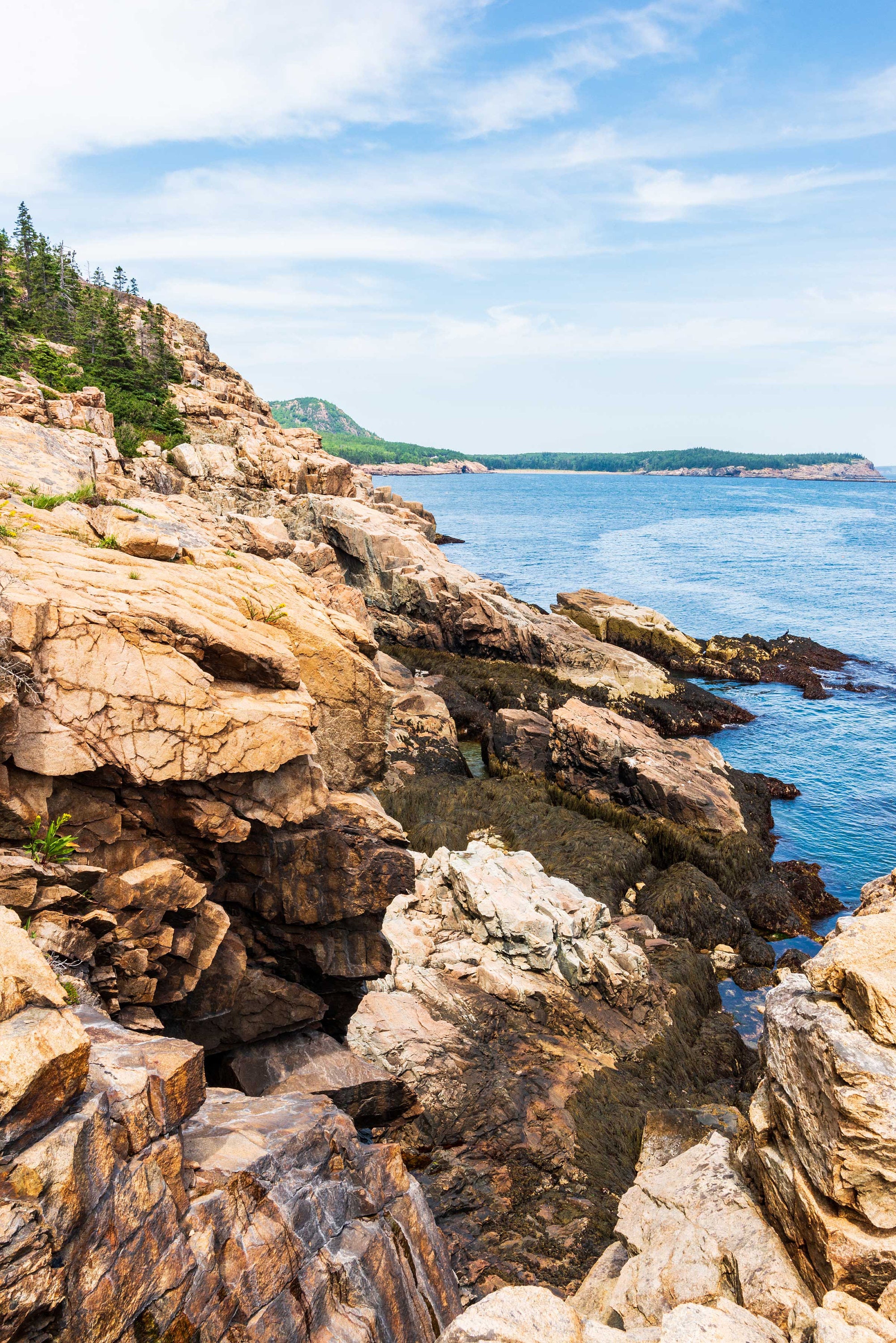 Acadia National Park Landscape Photography Print Maine Nature Photo ...