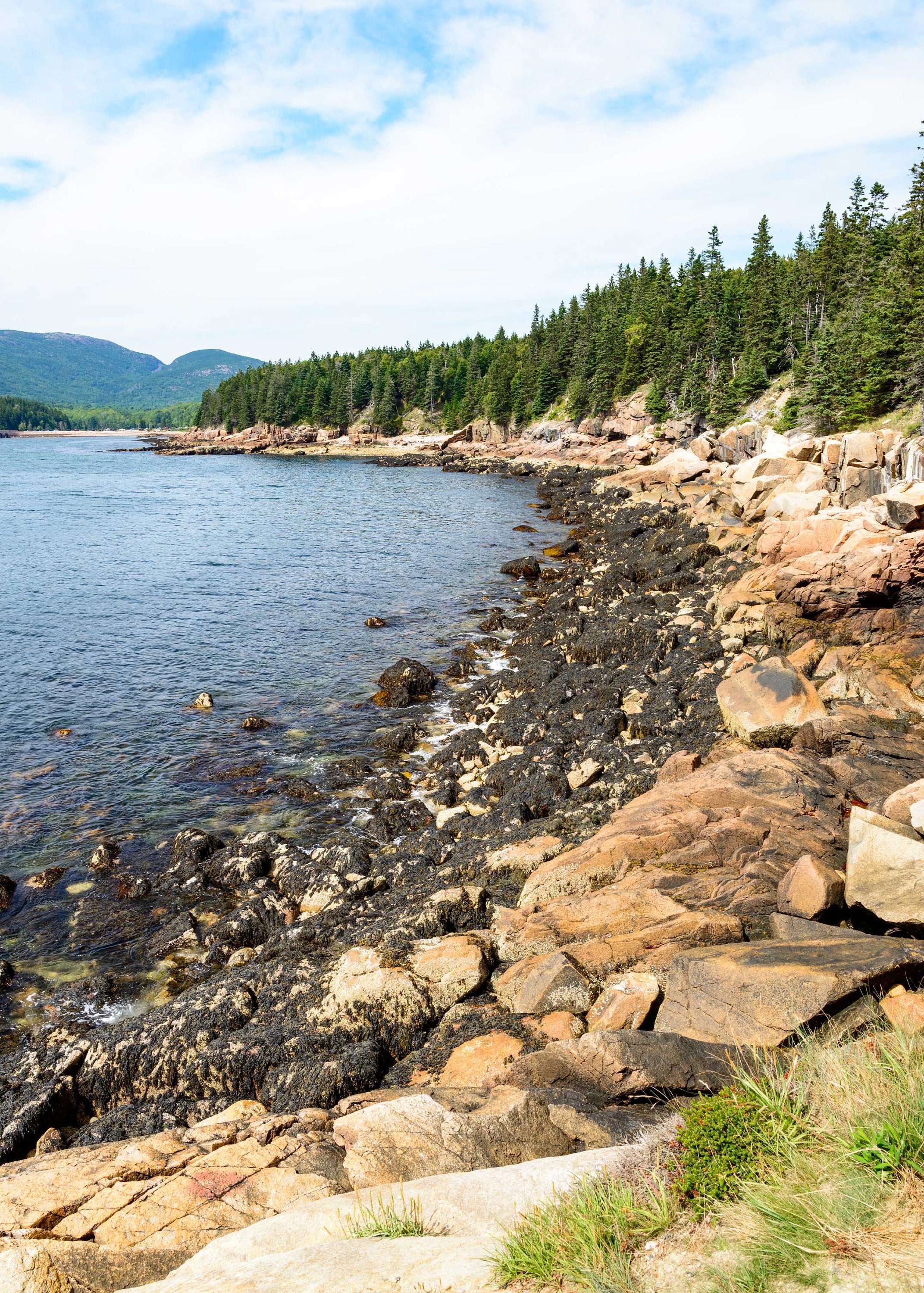 Acadia National Park Coastal Print: Otter Cove Maine Landscape - Etsy