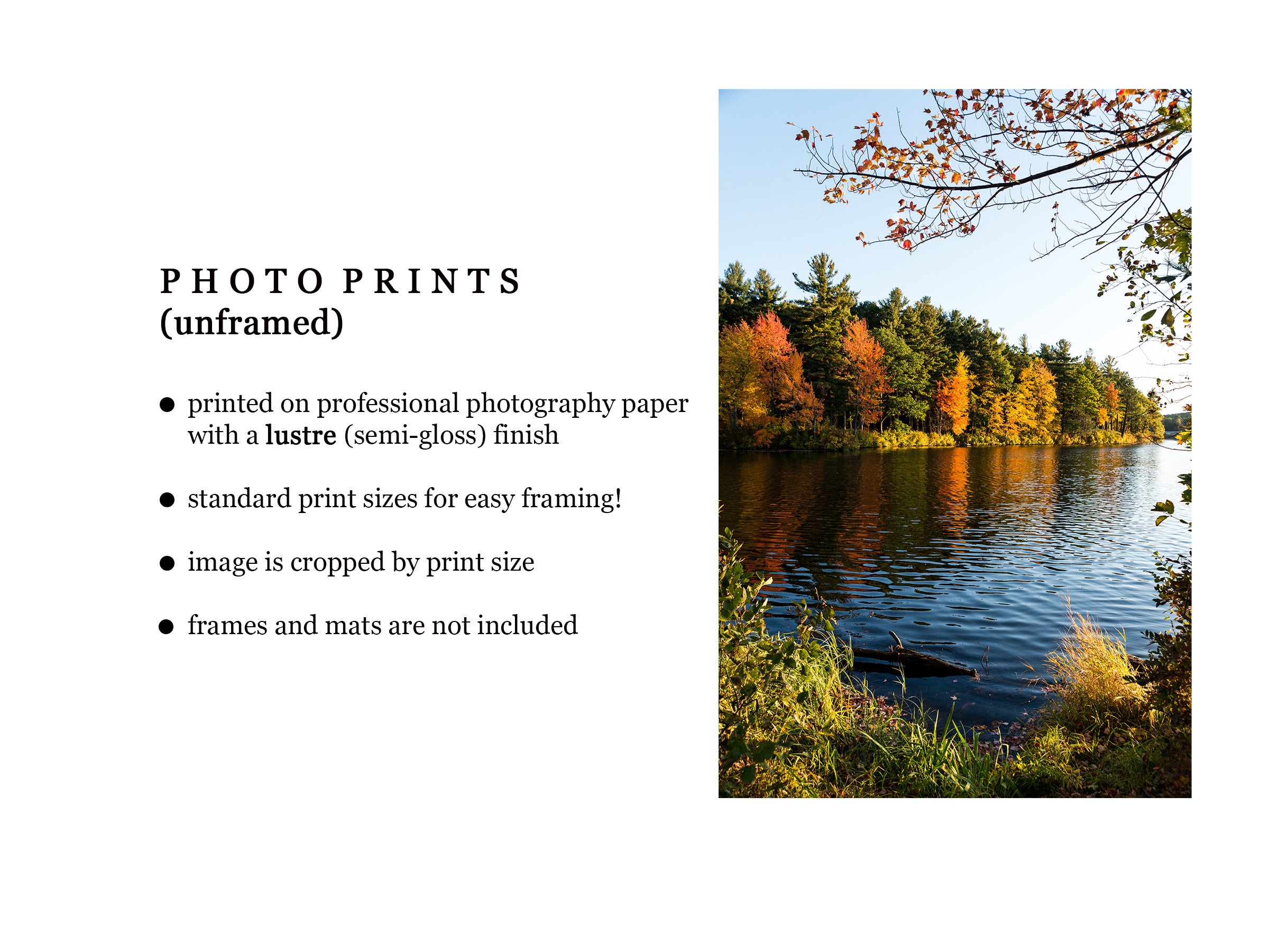 Close-up Boat Propeller Art Print Nautical Photography Wall Art Rusty ...