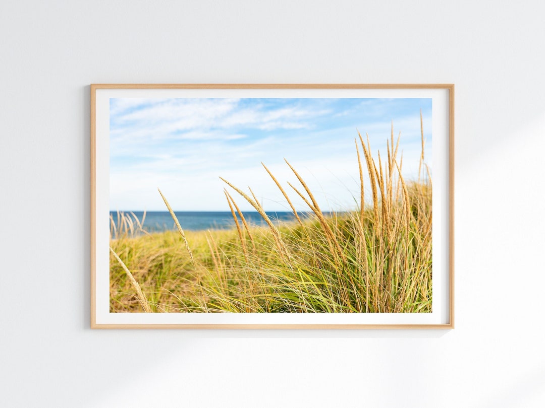 Beach Grass Photography Print - Nature Art - Provincetown Race Point ...