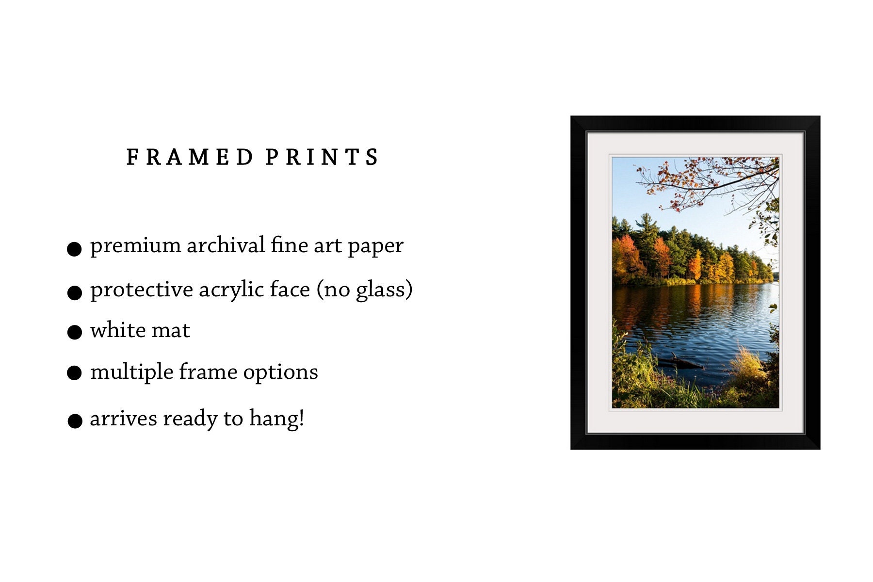 Squibnocket Beach Rope Photograph – Martha's Vineyard Coastal Art - Etsy